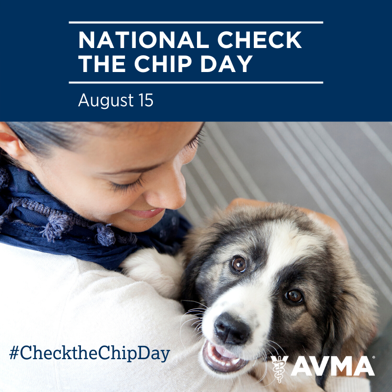 National Check the Chip Day - Pawzhub